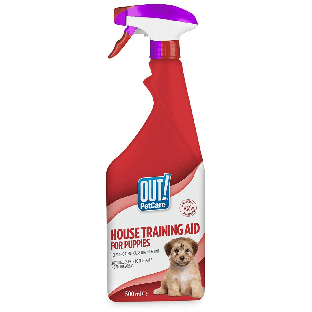 How To Teach Your Dog To Not Pee In The House Lupon gov ph How To Teach Your Dog To Not Pee In The House Lupon gov ph